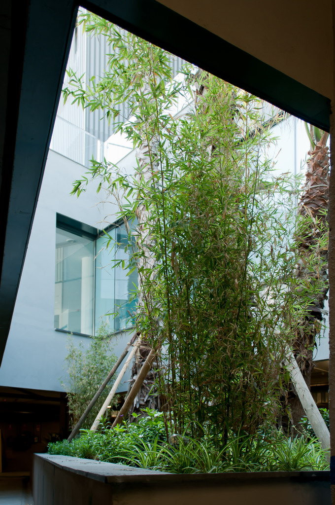 GENyO Centre for Genomics and Oncological Research - Architizer