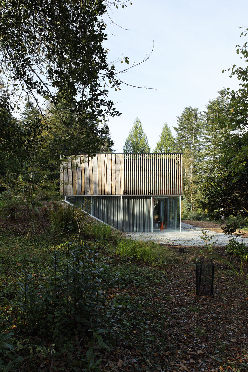 D house by lode architecture - Architizer