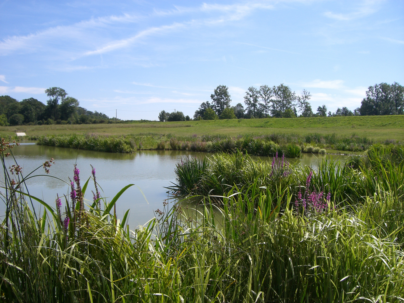 Un boccage aquatique - Architizer