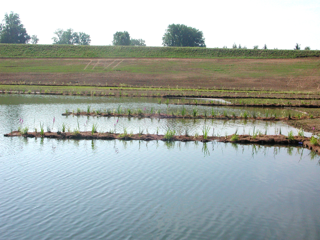 Un boccage aquatique - Architizer