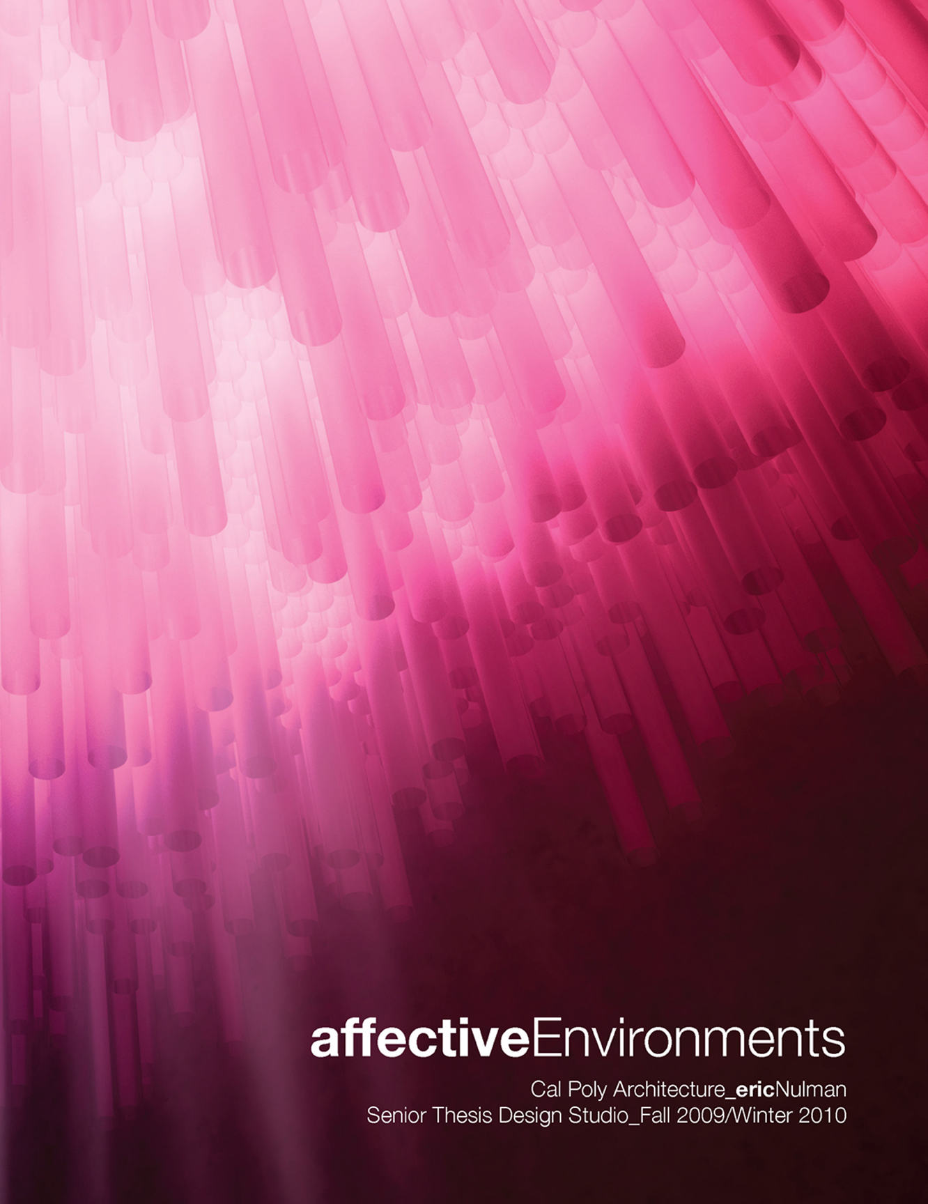 Affective Environments Publication by Eric Nulman Thesis Studio 2009 ...