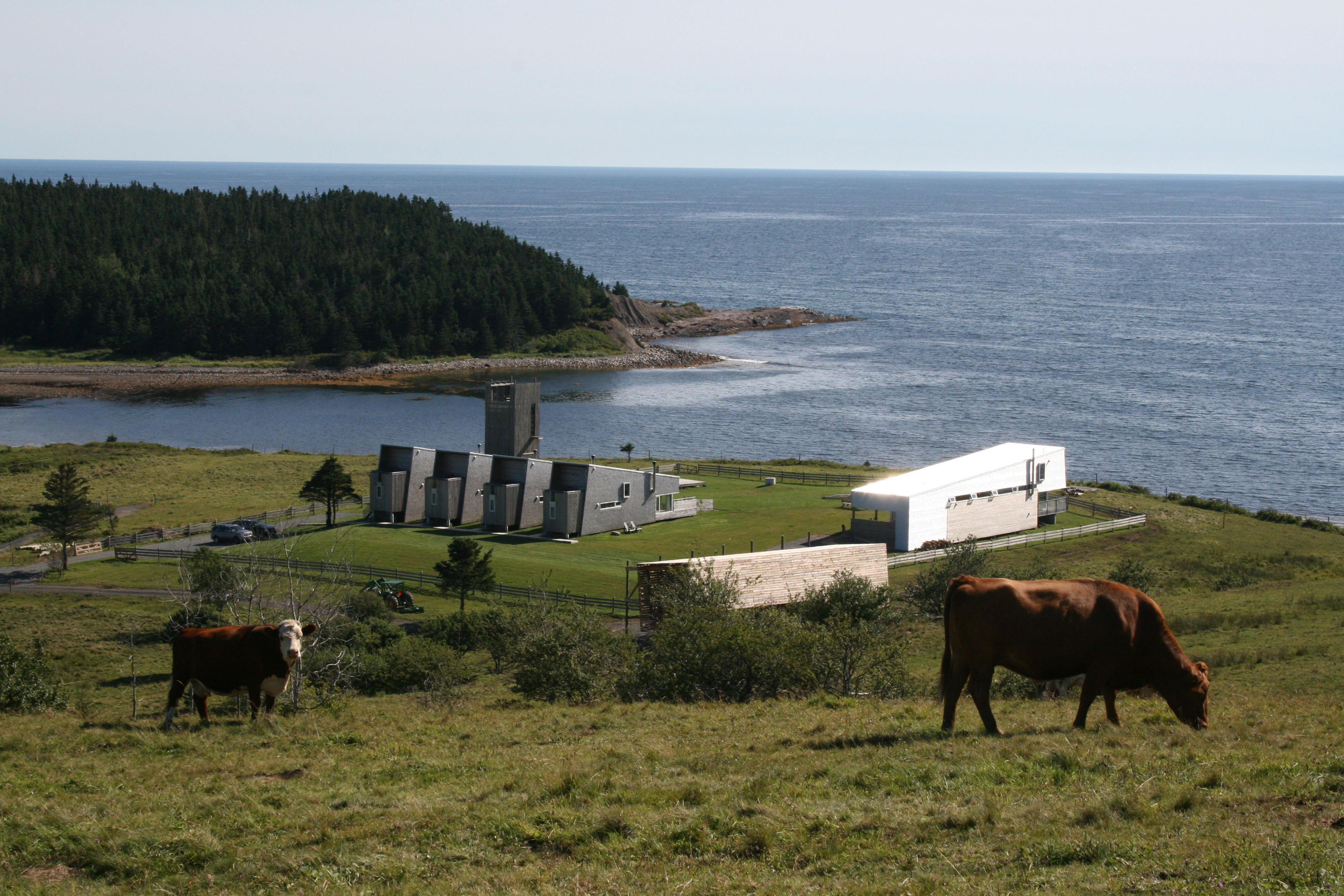Two Hulls House by MacKay-Lyons Sweetapple Architects - Architizer