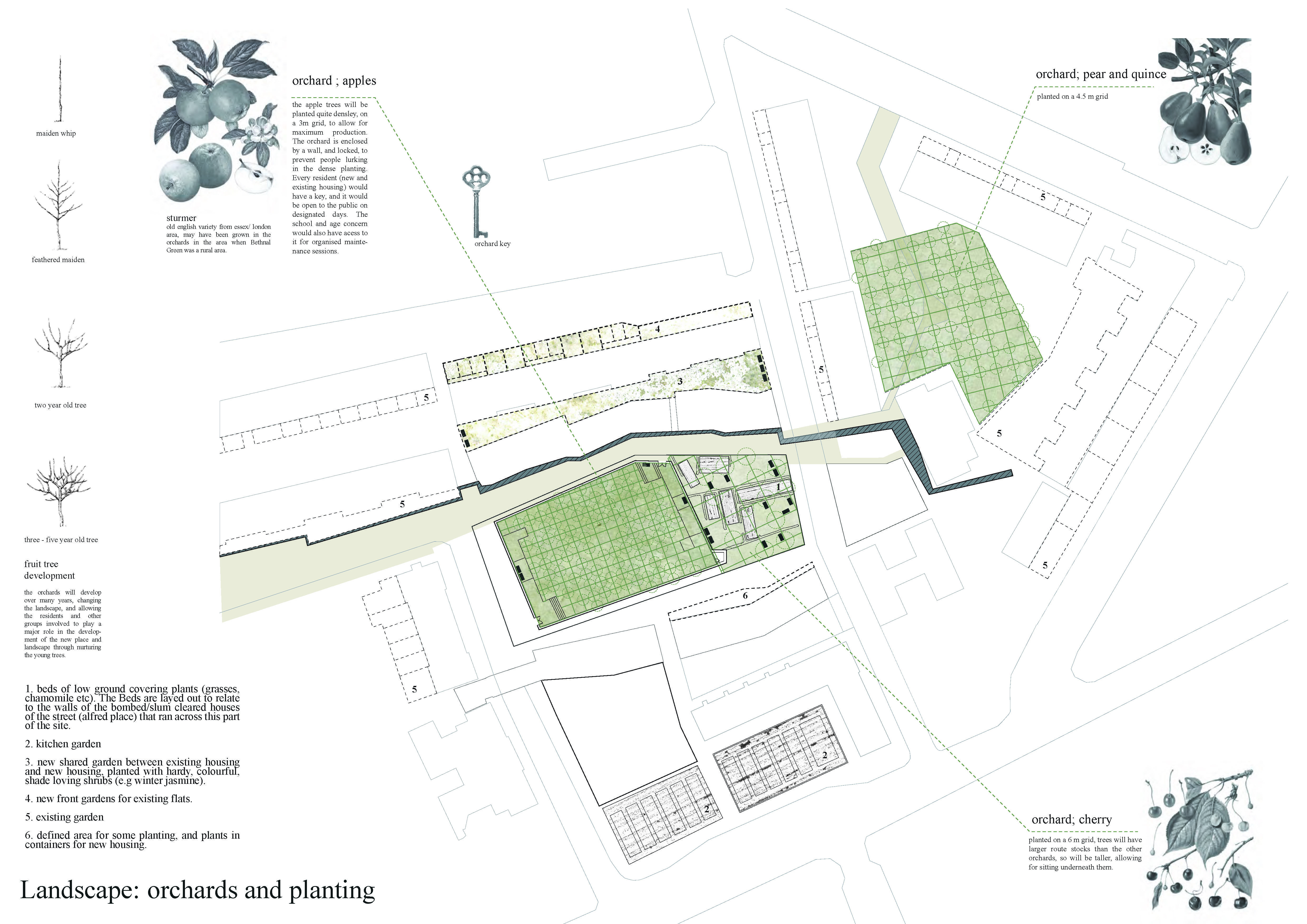Aging in an Urban Landscape - Architizer