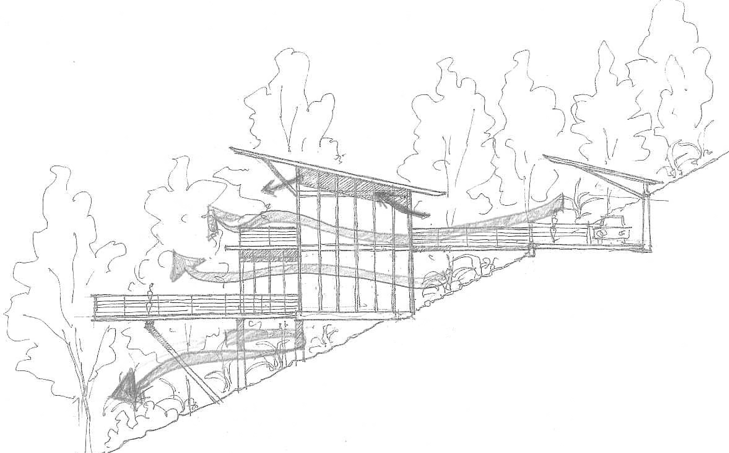 The Deck House - Architizer