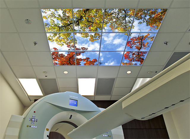 Mount Elizabeth Novena Hospital - Singapore by Sky Factory - Architizer