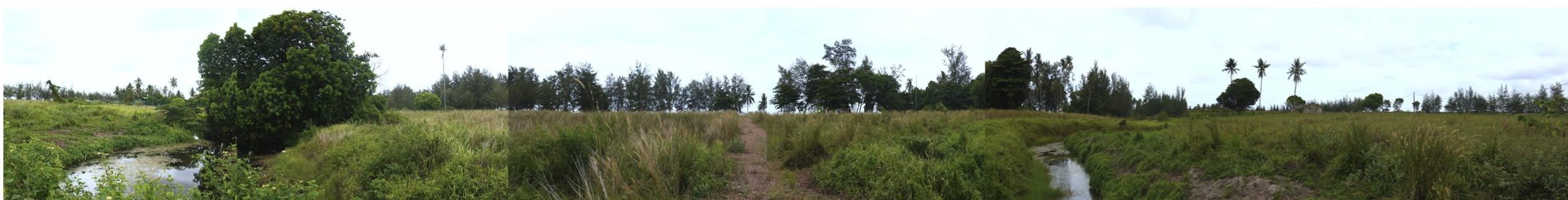 ramunia - Architizer