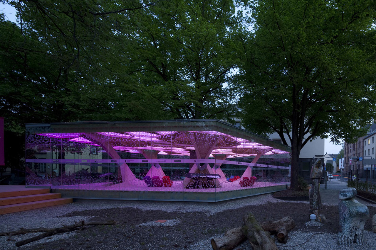 Treehugger by one fine day. office for architectural design - Architizer