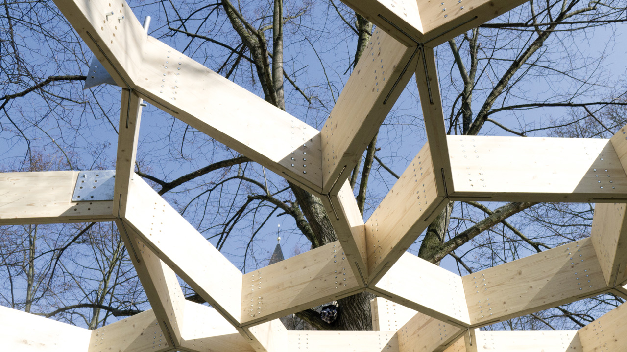 Treehugger by one fine day. office for architectural design - Architizer