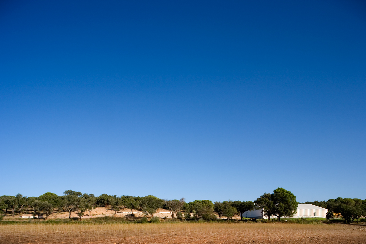 Mora River Aquarium by PROMONTORIO - Architizer