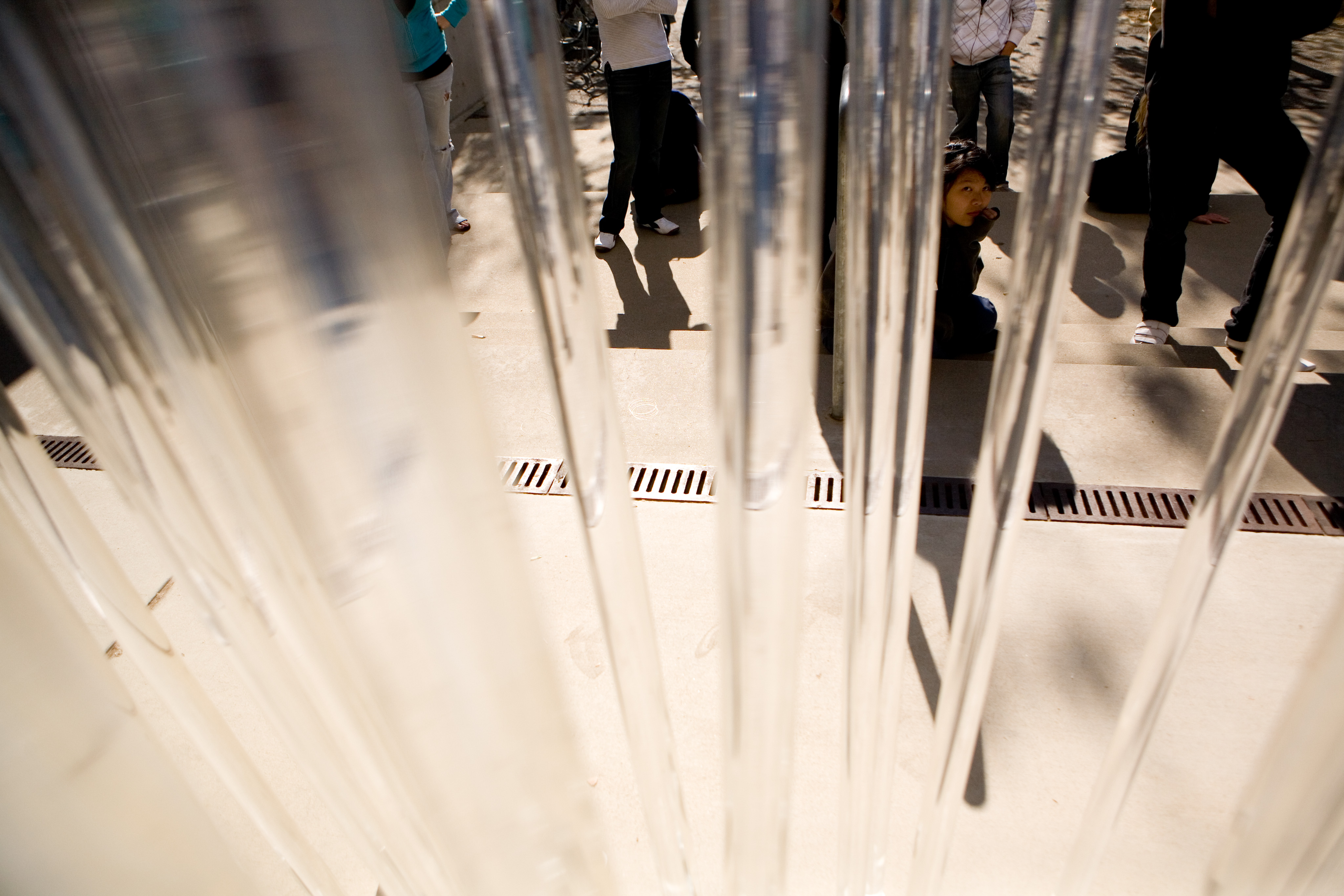 Refractive Forest by Eric Nulman Thesis Studio 2009-2010 - Architizer