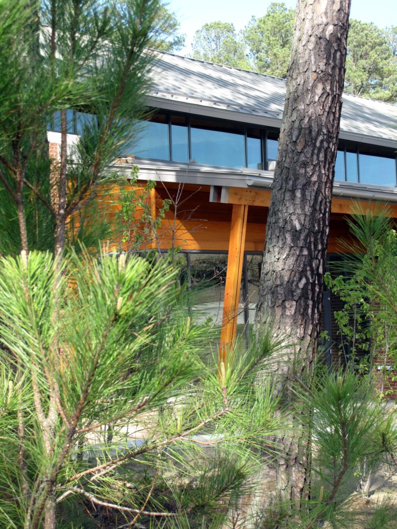 a Rural Library in Virginia - Architizer