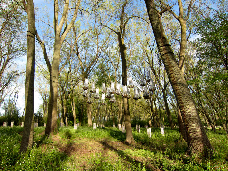 Bat Cloud by Ants of the Prairie - Architizer