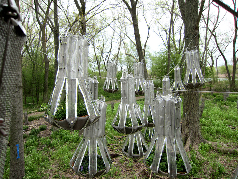 Bat Cloud by Ants of the Prairie - Architizer