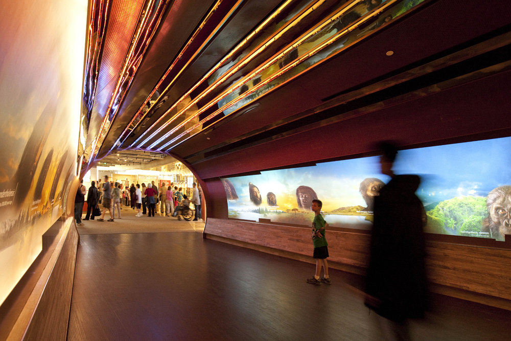 Reich + Petch - Architizer