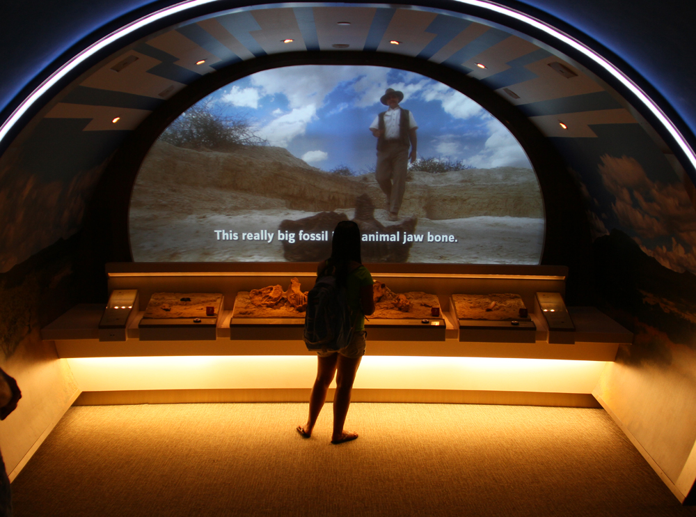 David H Koch Hall of Human Origins by Reich + Petch - Architizer