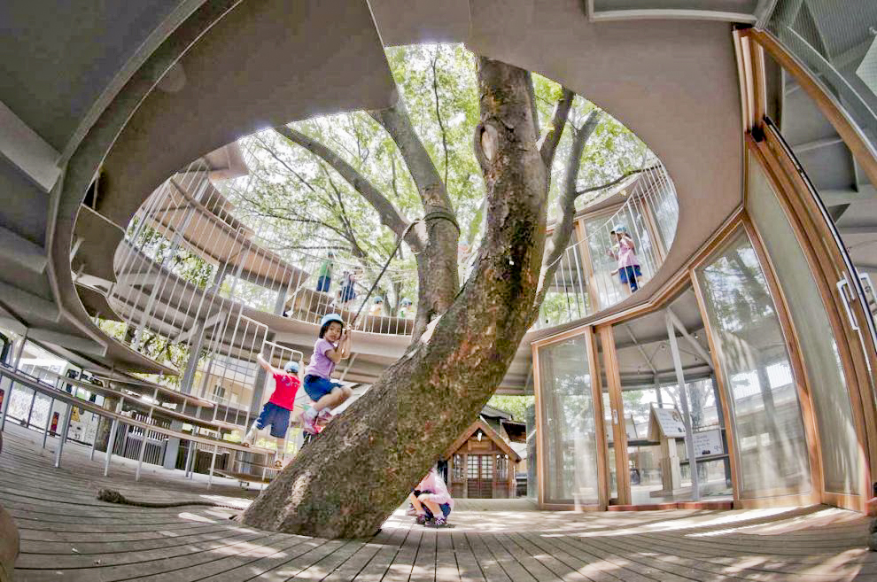 Ring Around A Tree by Tezuka Architects - Architizer