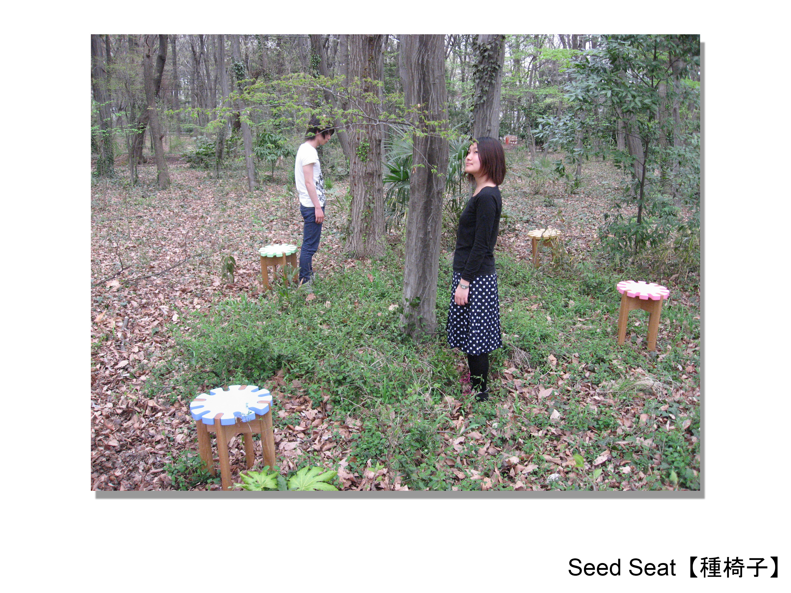 Seed Seat - Architizer