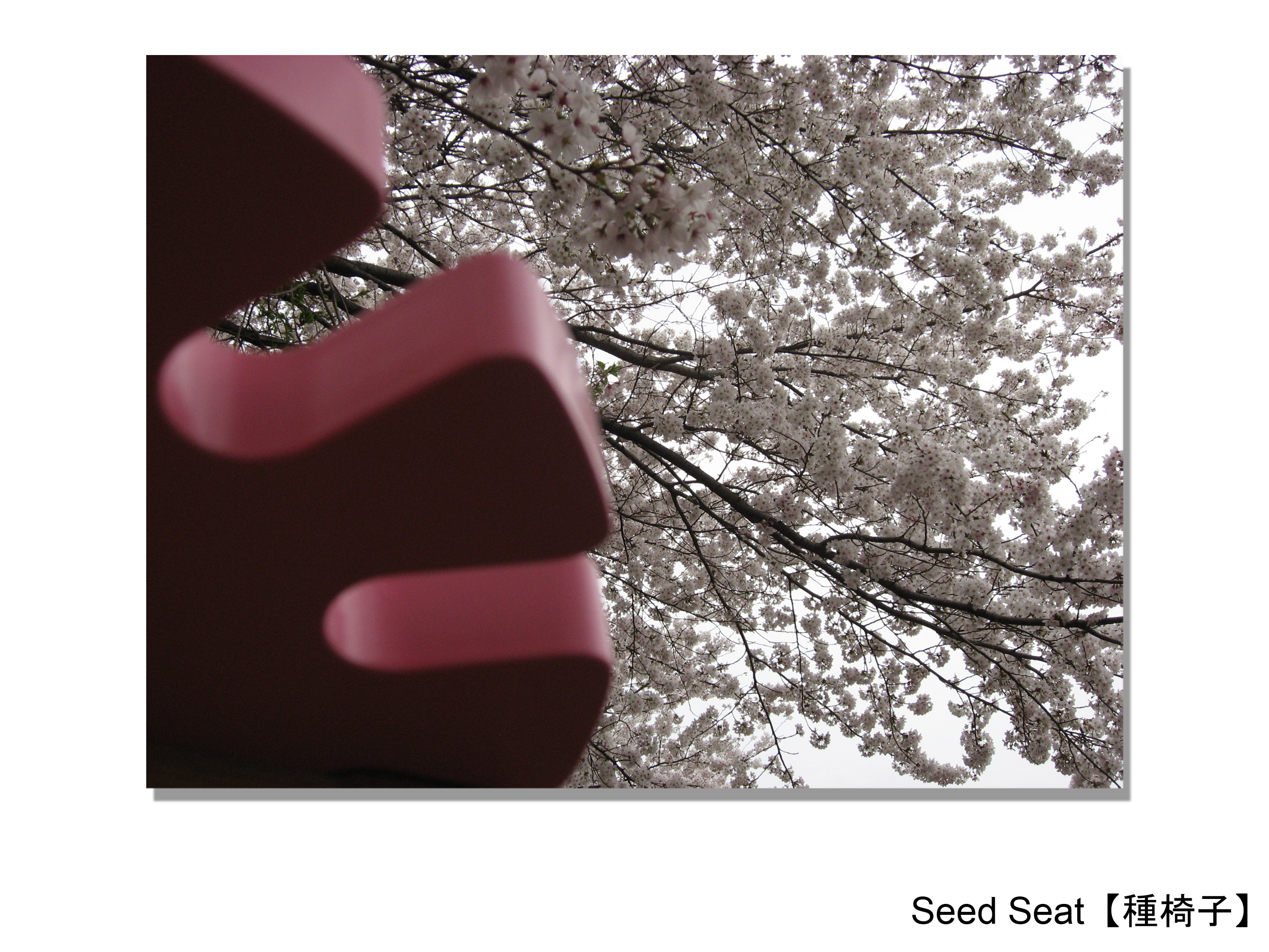 Seed Seat - Architizer