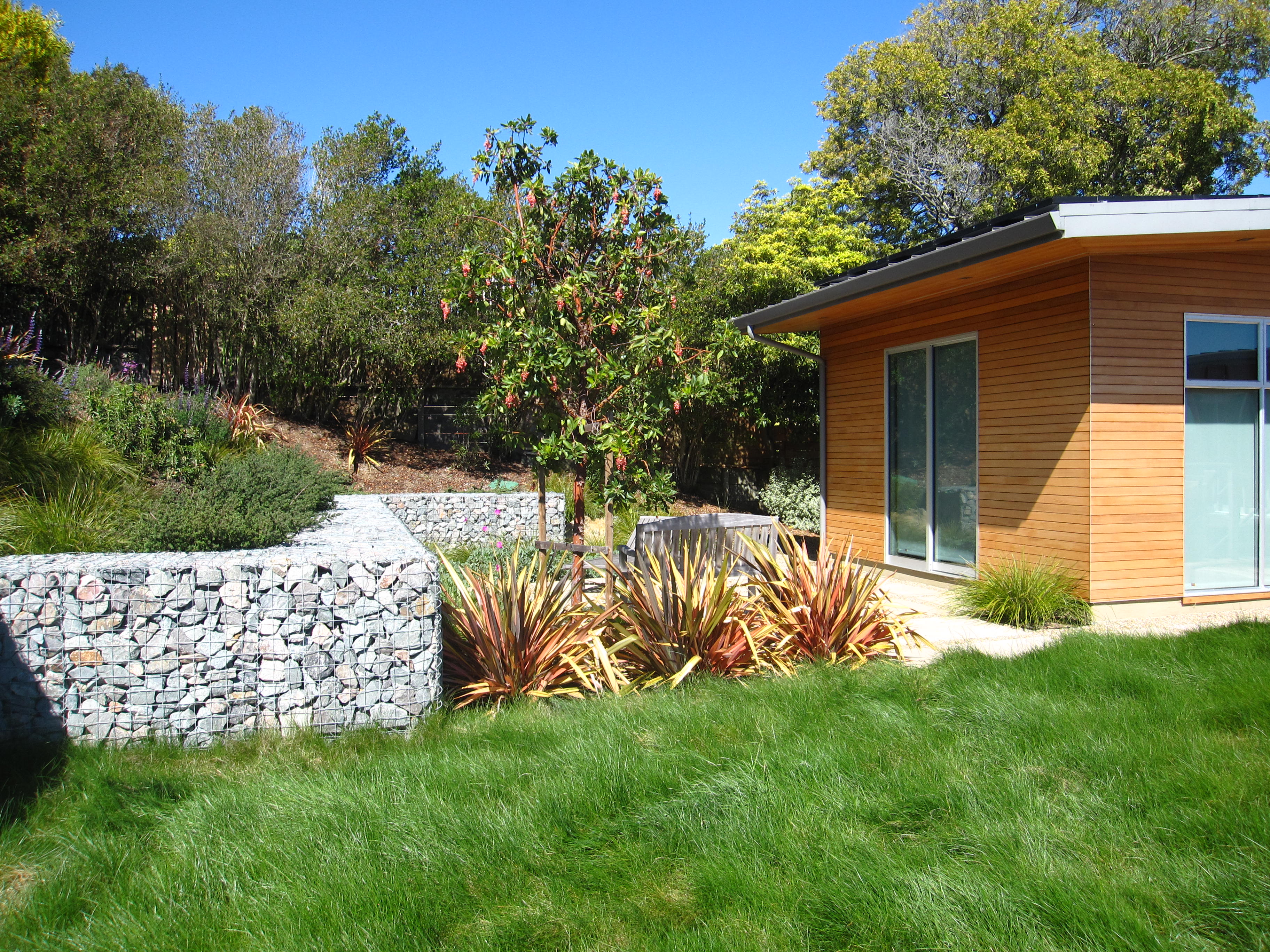 Leed Platinum by the Bay by Shades of Green Landscape Architecture ...