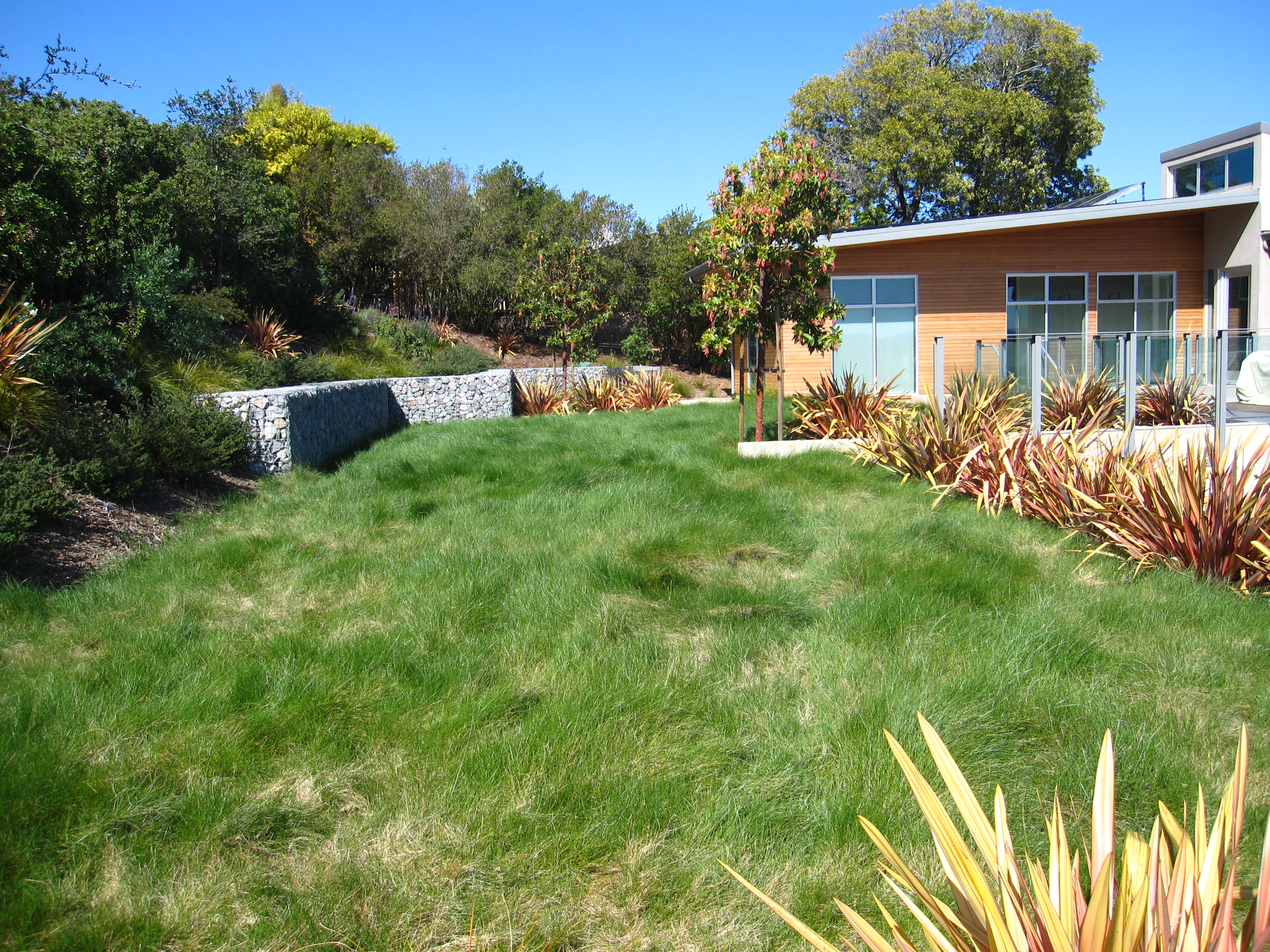 Leed Platinum by the Bay by Shades of Green Landscape Architecture ...