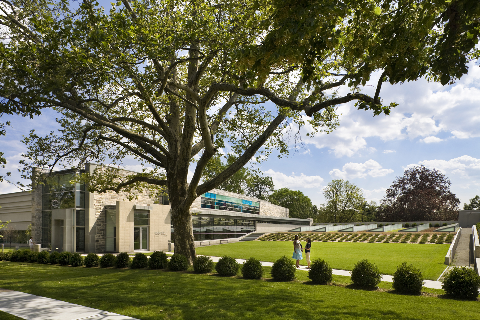 Idea 130123: The Center for Wellness at The College of New Rochelle by ...