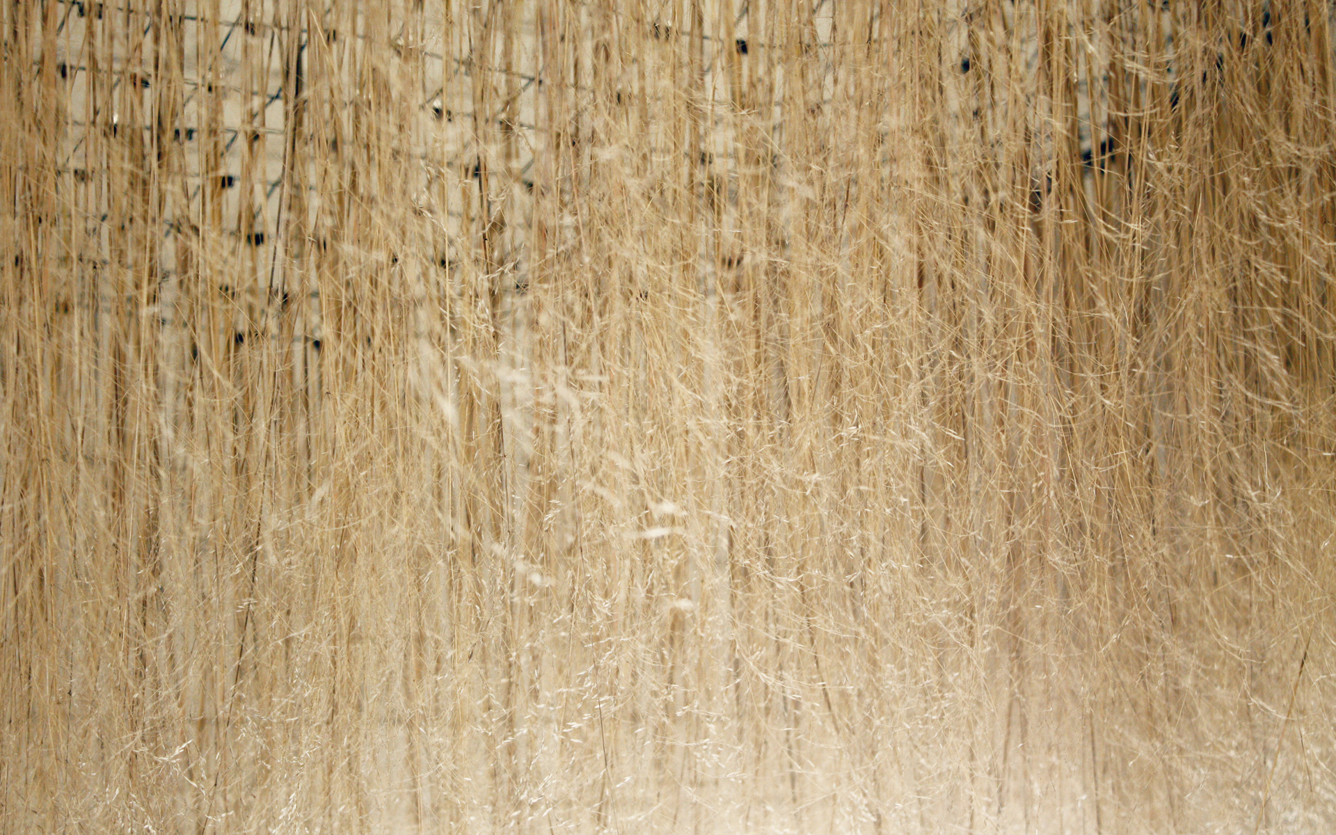 Inverted Field - Architizer