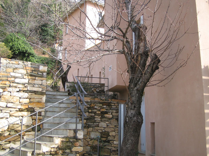 Cherry Tree House - Architizer