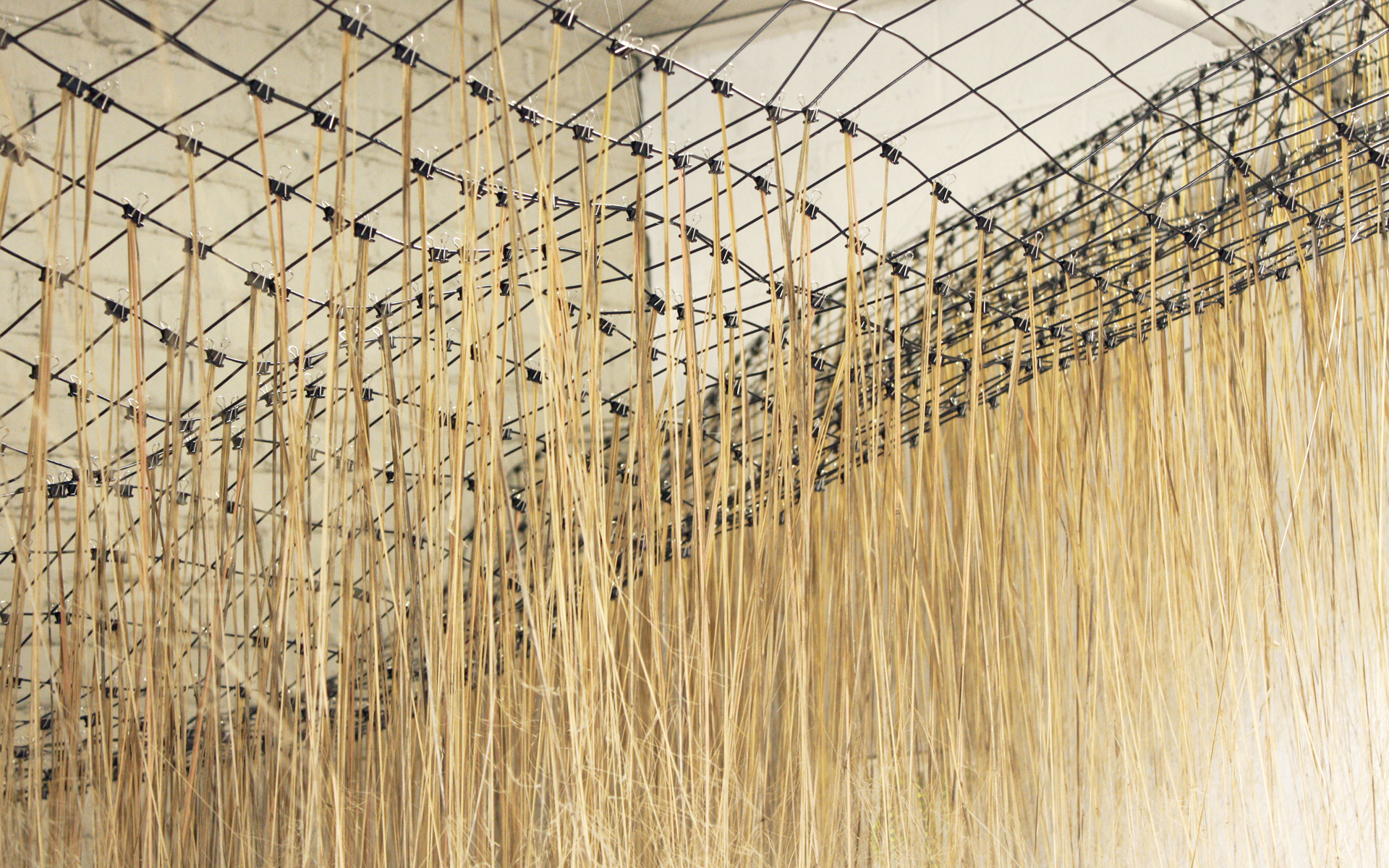 Inverted Field - Architizer