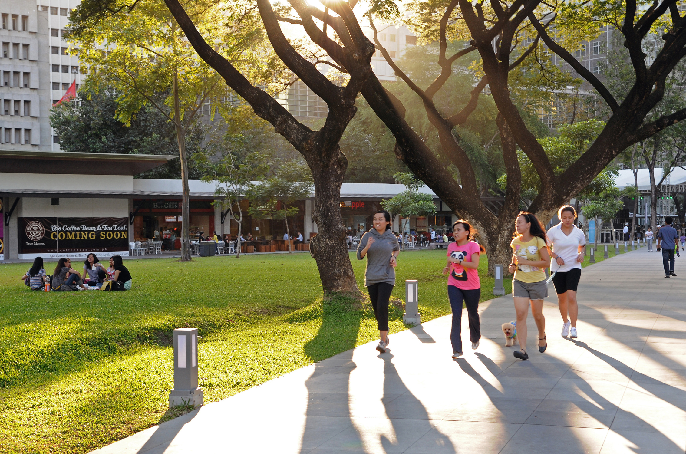 Ayala Triangle Park by AECOM - Architizer