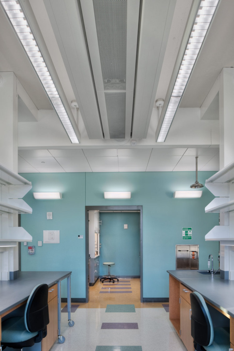 VCU, Molecular Medicine Research Building by Ballinger - Architizer