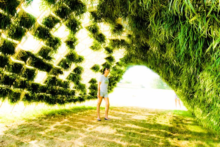 Idea 133706: Living Pavilion -- FIGMENT/ENYA/SEAoNY City of Dreams ...