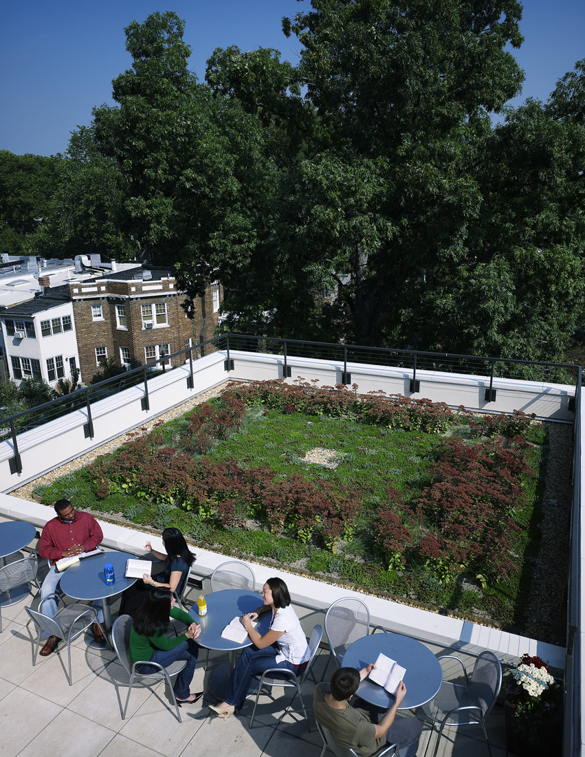 Stanford University, Washington DC Campus by Landscape Architecture ...