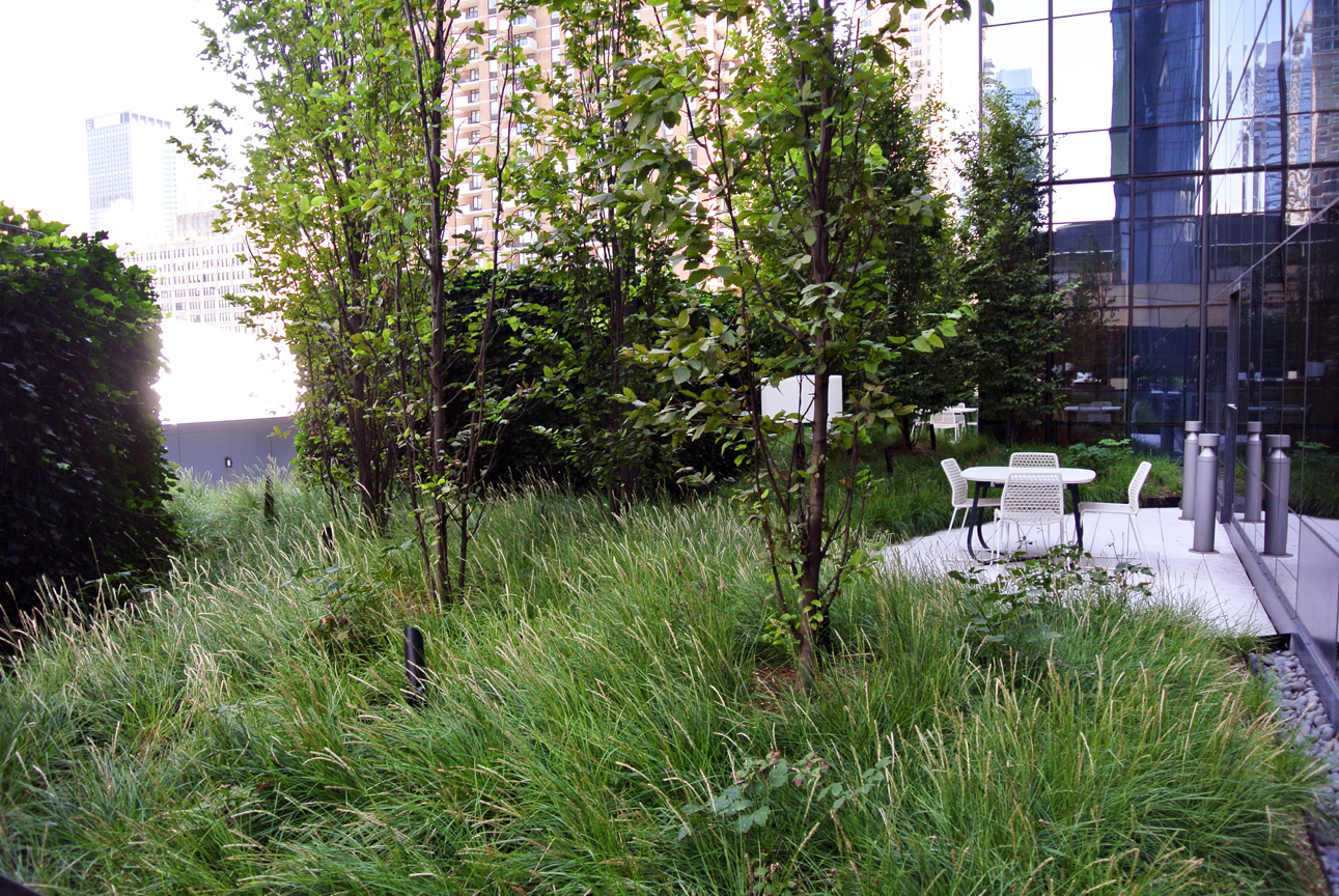 MIMA - Mixed Use Residential Building by HMWhite - Architizer