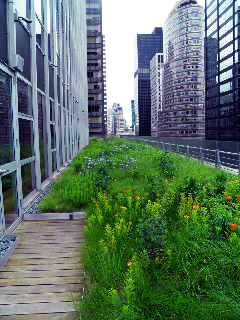 Midtown Manhattan Sky Garden by HMWhite - Architizer