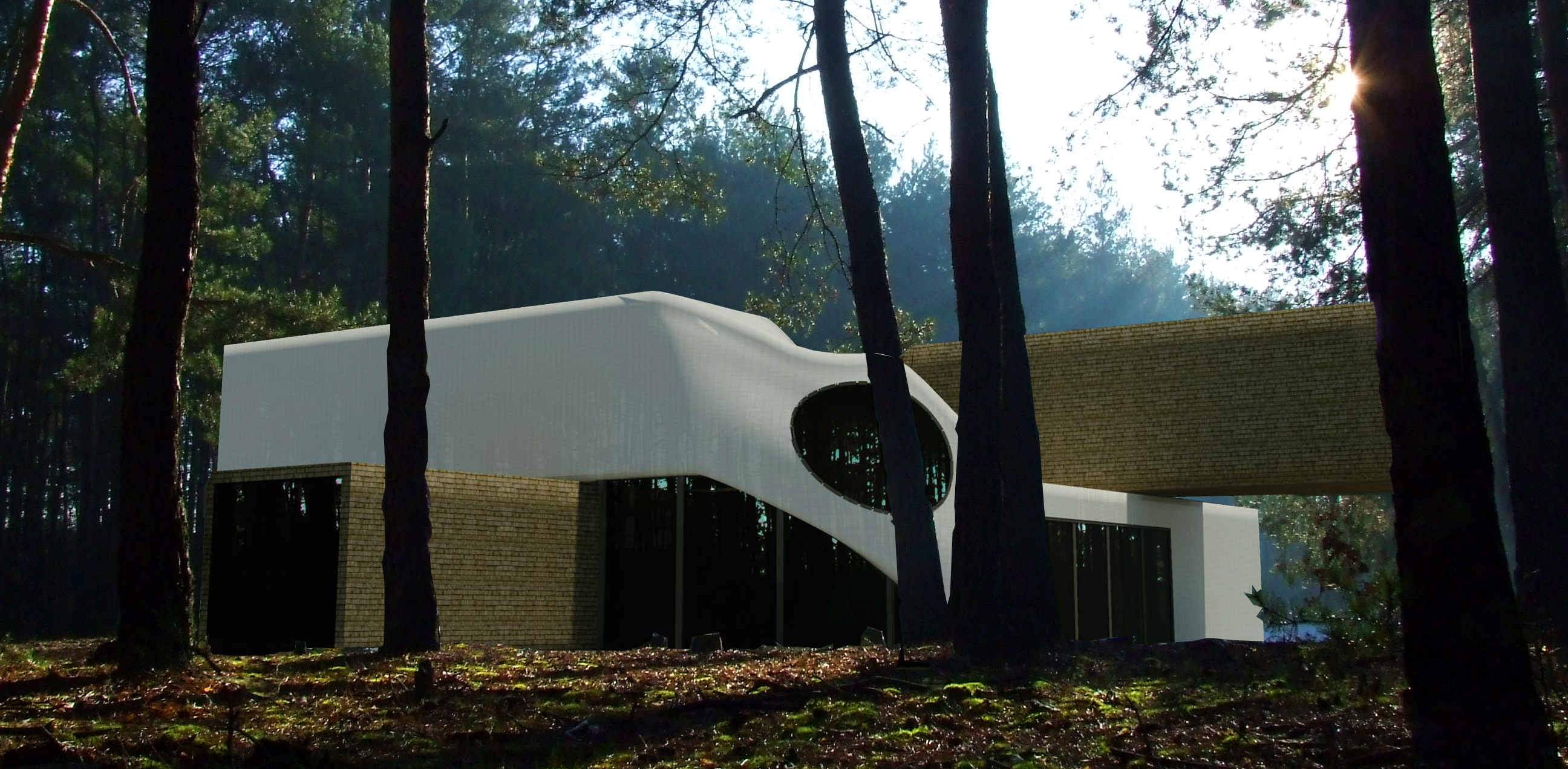 THE WINDING HOUSE - Architizer