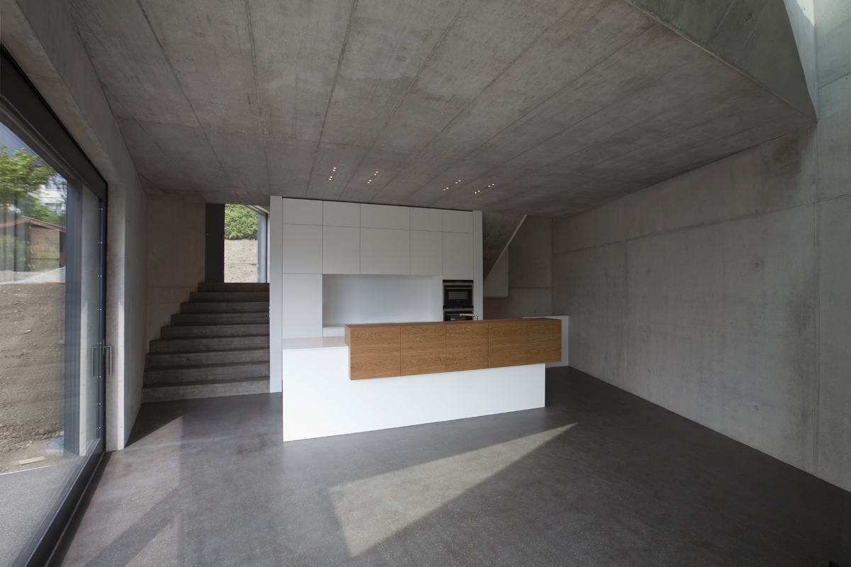 Two Single-Occupancy Detached Houses by L3P Architekten - Architizer