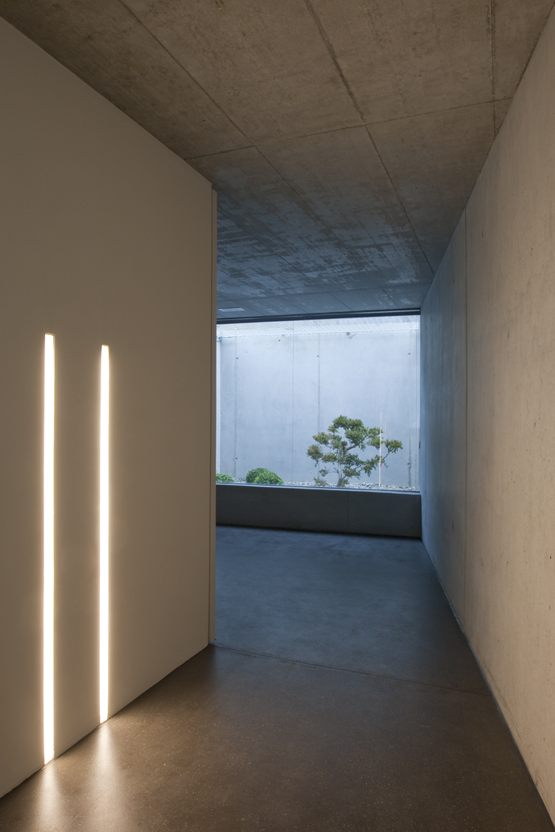 Two Single-Occupancy Detached Houses by L3P Architekten - Architizer