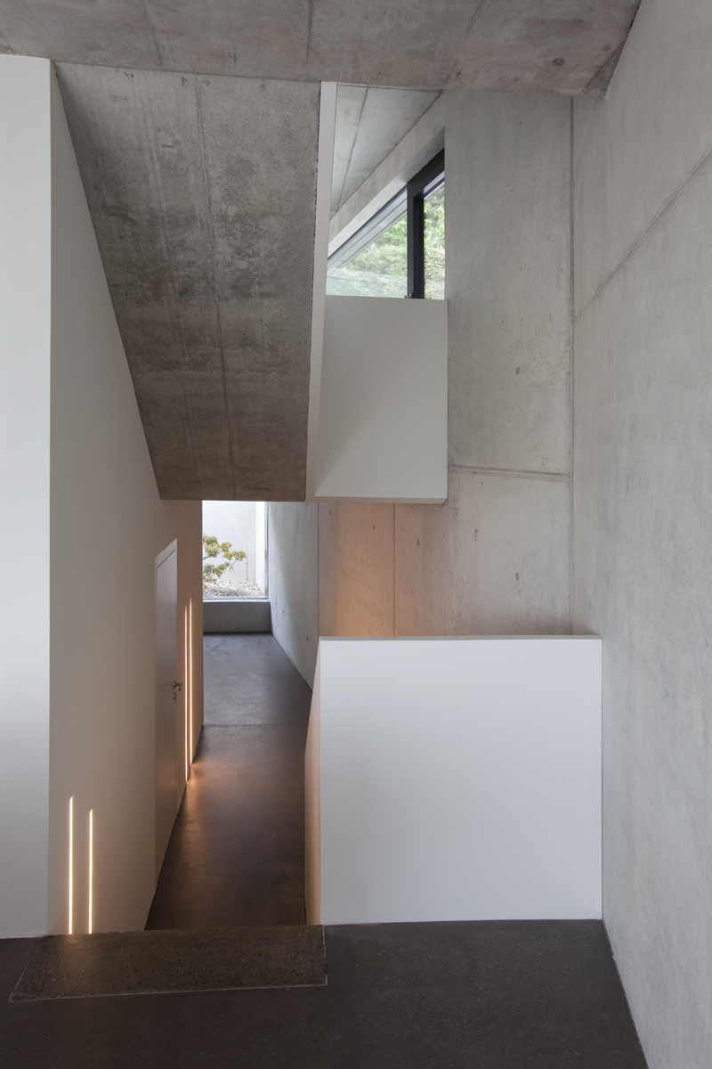 Two Single-Occupancy Detached Houses by L3P Architekten - Architizer