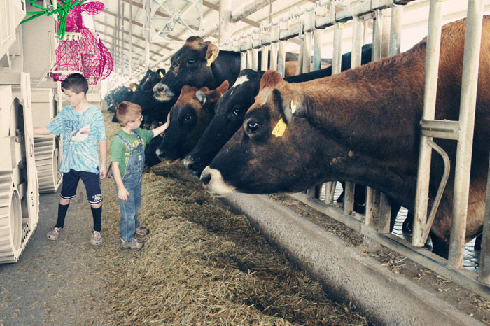 Farmland World by Design With Company - Architizer