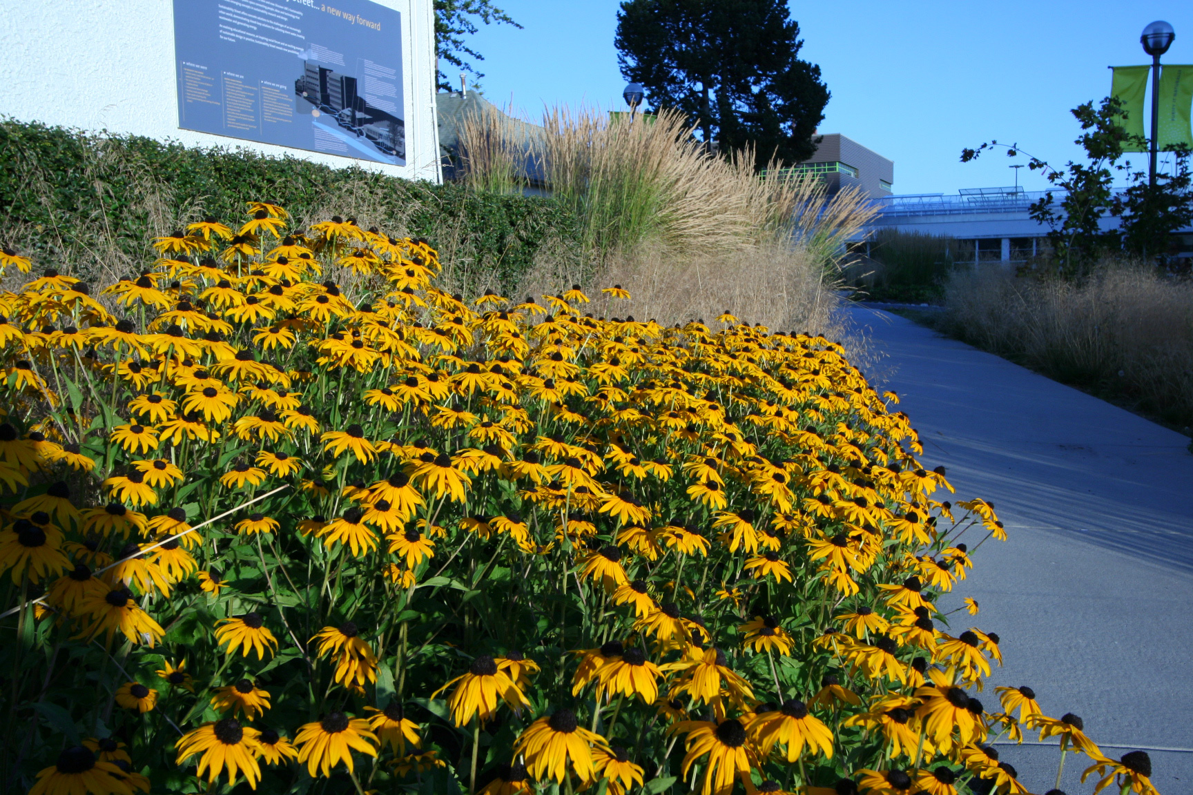 UBC Natural Sustainability St. - Architizer