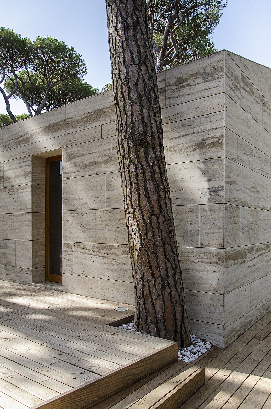 House on a pinewood by Massimo Fiorido Associati, sundaymorning ...