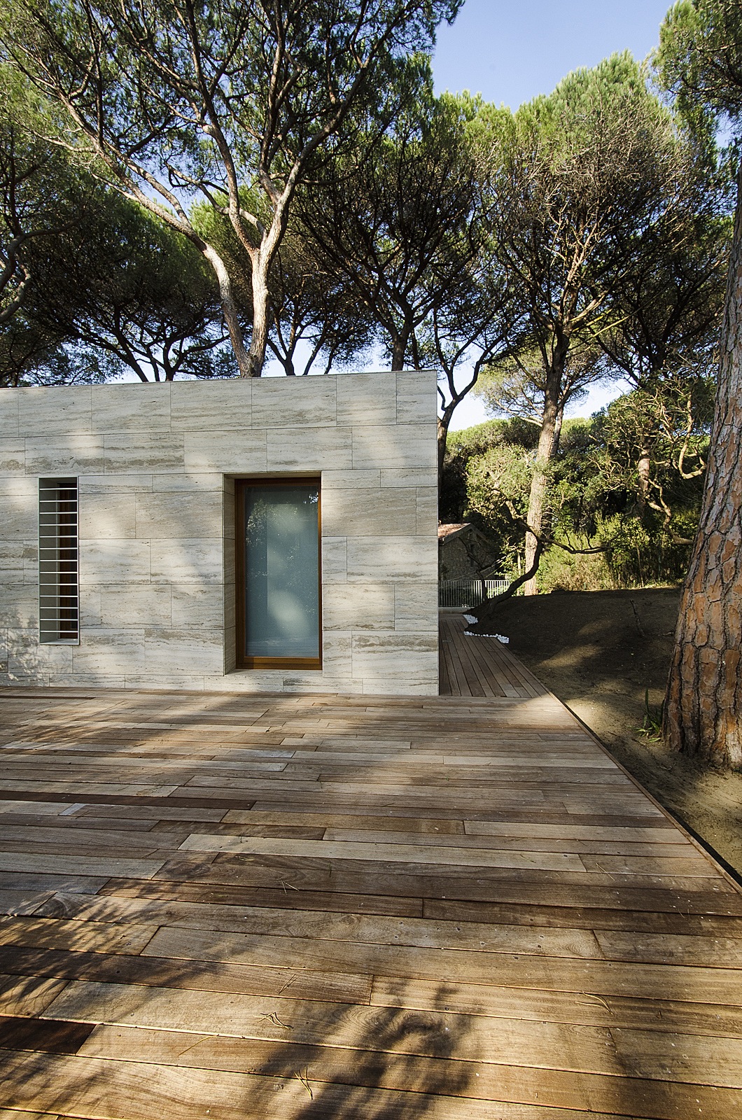 House on a pinewood by Massimo Fiorido Associati, sundaymorning ...