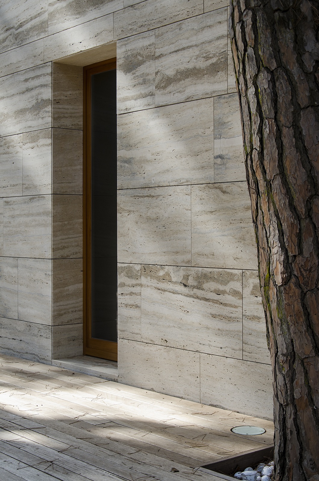 House on a pinewood by Massimo Fiorido Associati, sundaymorning ...