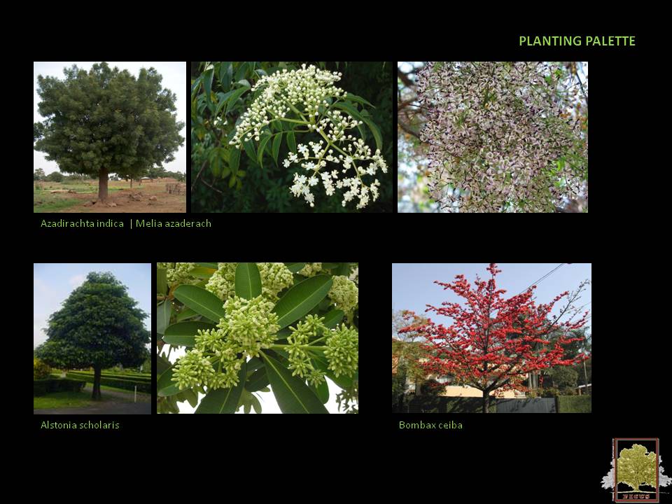 Rane - Trichy - Architizer