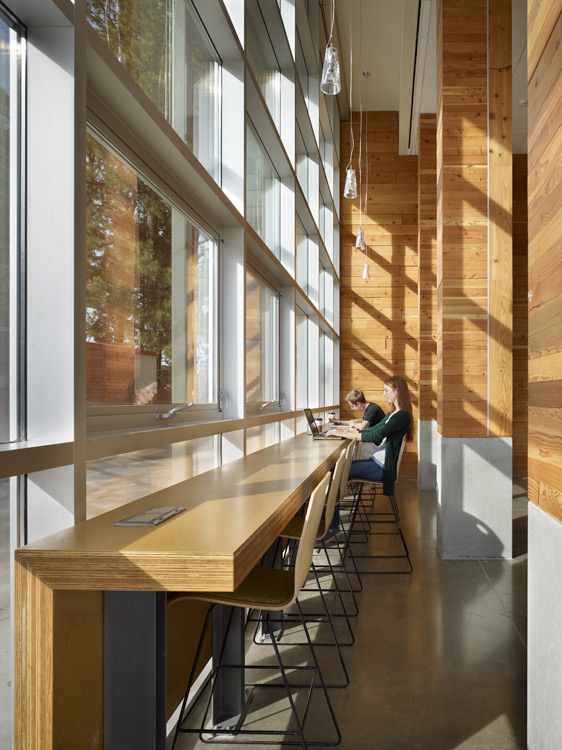 Washington State University Olympia Ave Student Housing - Architizer