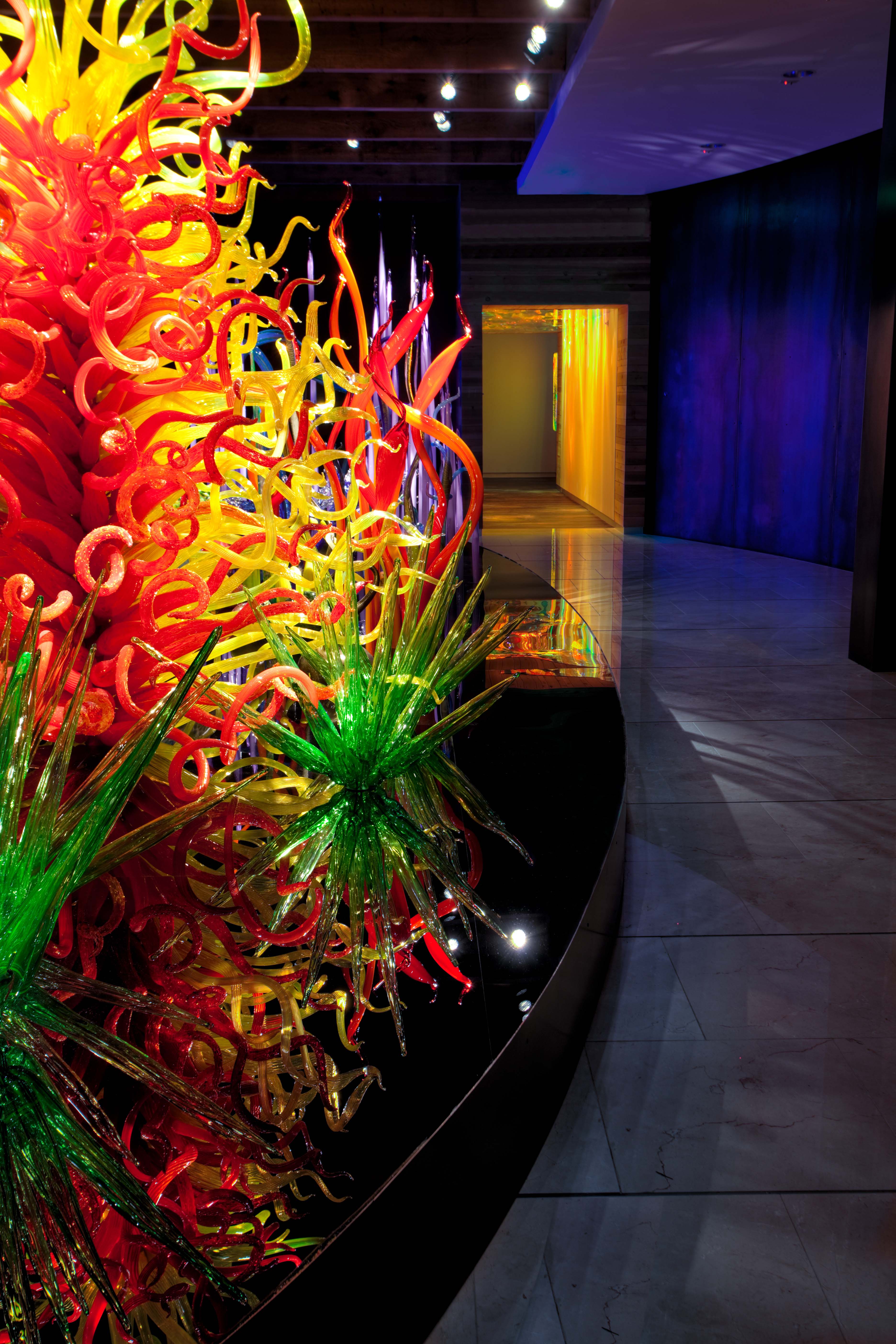 The Chihuly Collection at the Morean Arts Center by Alfonso Architects ...