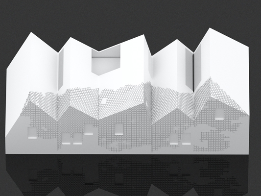 Radiator House by Lekker Architects - Architizer