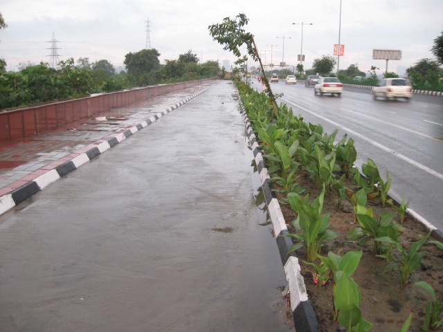 Streetscaping of Delhi Roads by Pradeep Sachdeva Design Associates ...