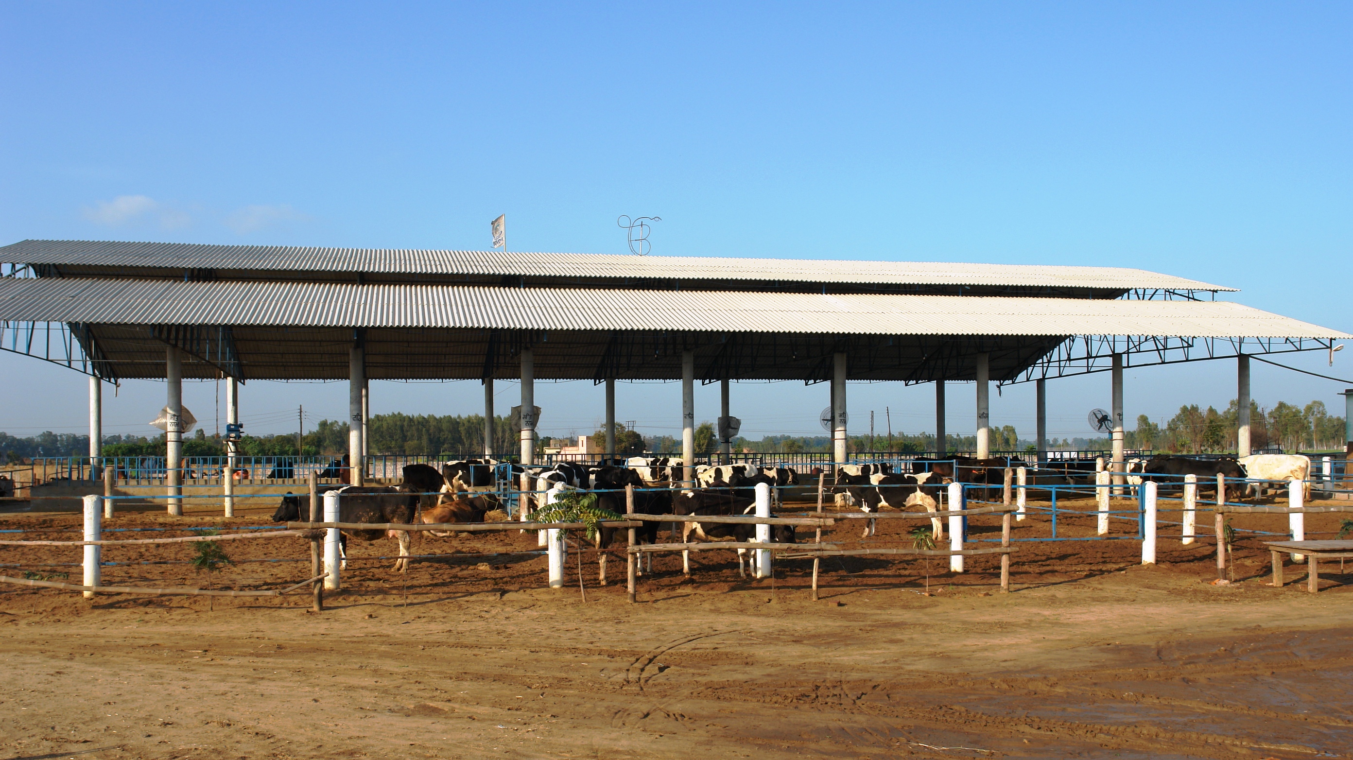 CATTLE HOUSES, PUNJAB - Architizer
