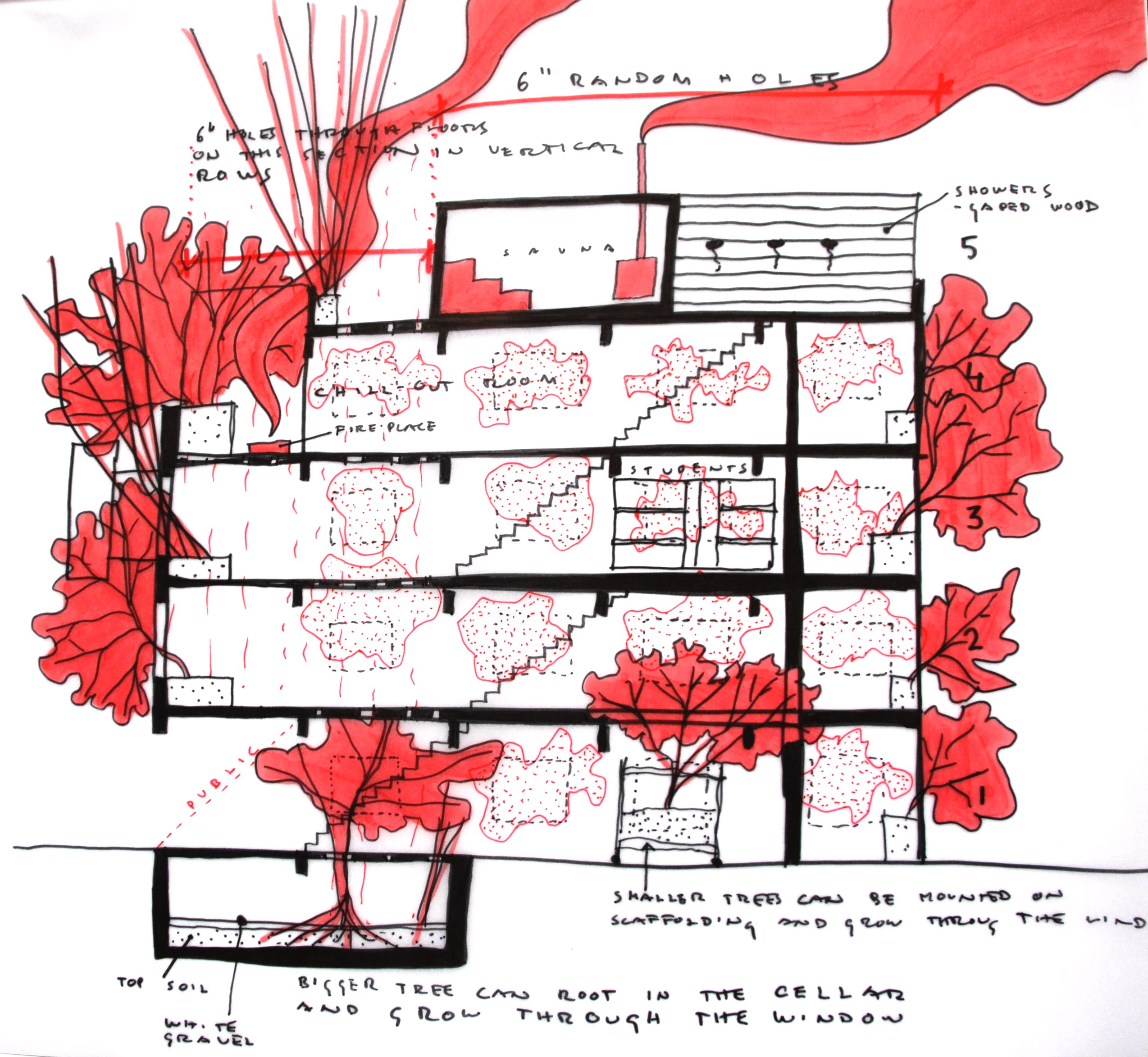 Ruin Academy - Architizer